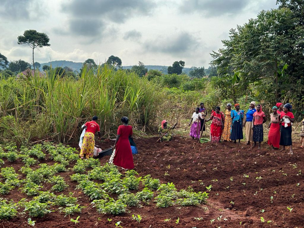 On the Frontlines of the Climate Crisis, Ugandan Activists Find ...